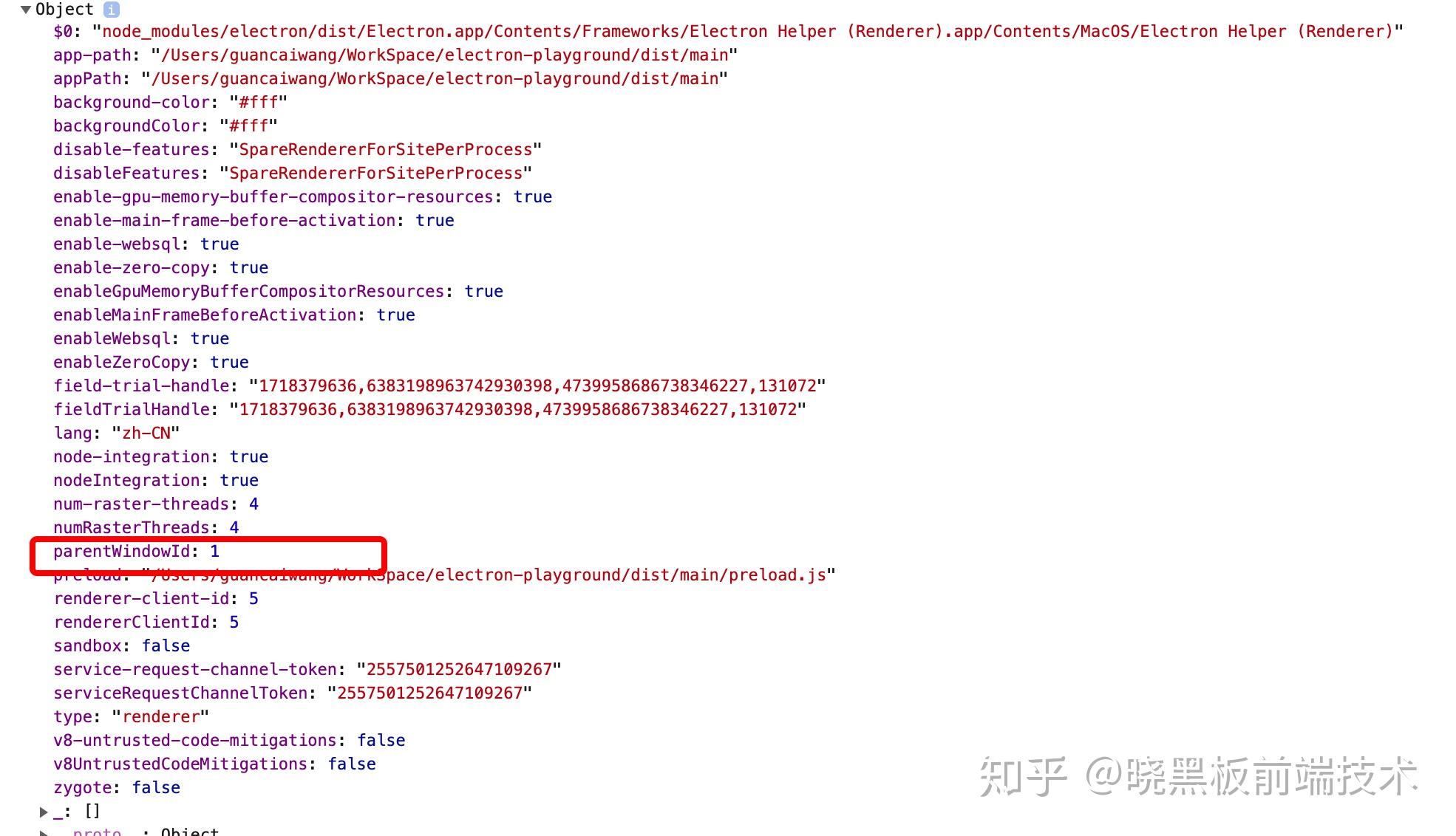 【Electron-Playground系列】窗口篇 - 知乎