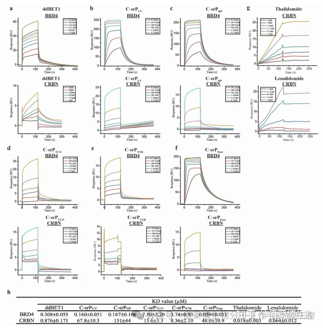 SPR分子互作应用分享：SPR技术助力PROTACs精准设计 - 知乎