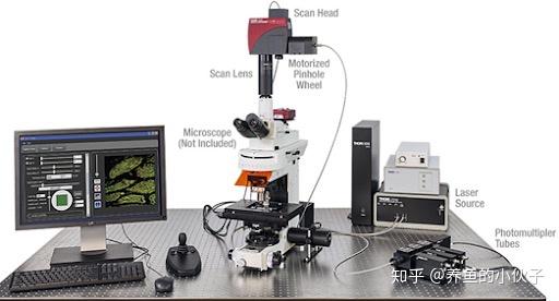 显微镜的种类？！ - 知乎