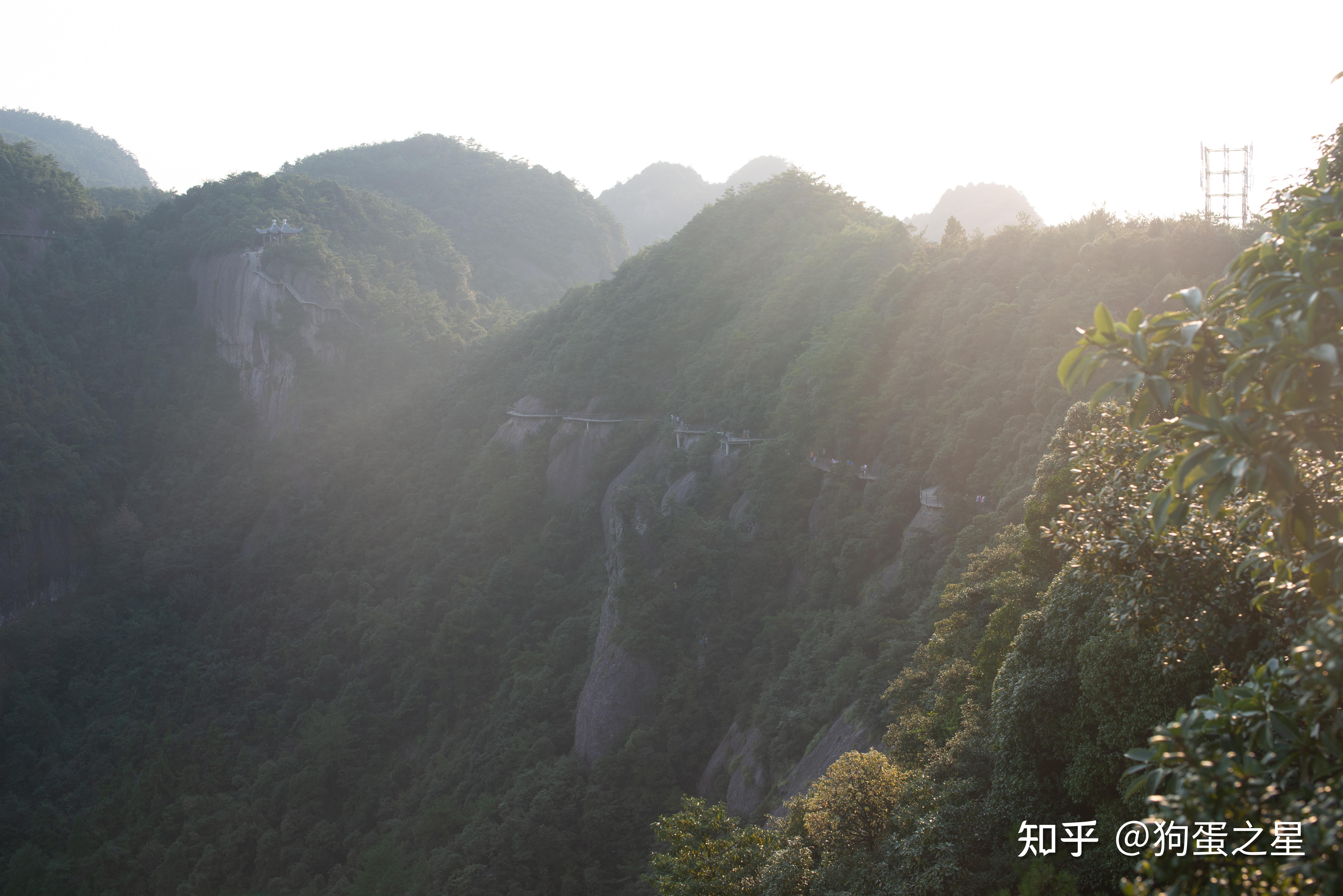 测评当前最强的单目深度估计模型--DepthPro（2025） - 知乎