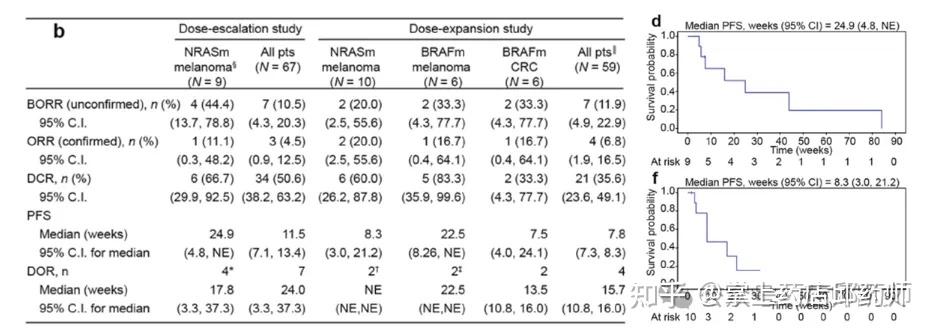 比美替尼、妥拉美替尼、Belvarafenib、Pimasertib、ulixertinib靶向治疗NRAS突变黑色素瘤！ - 知乎