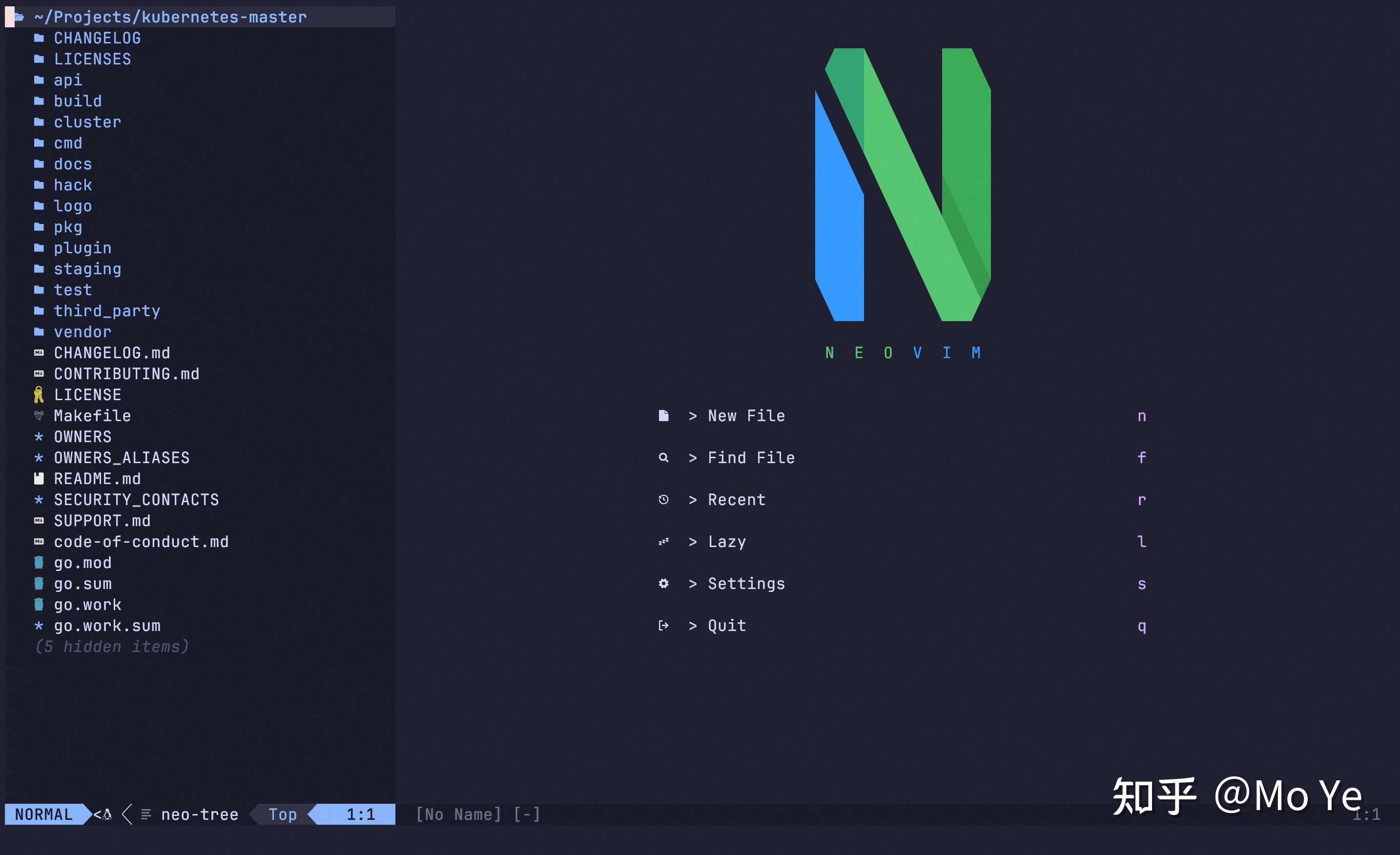 Golang Neovim配置 - 知乎