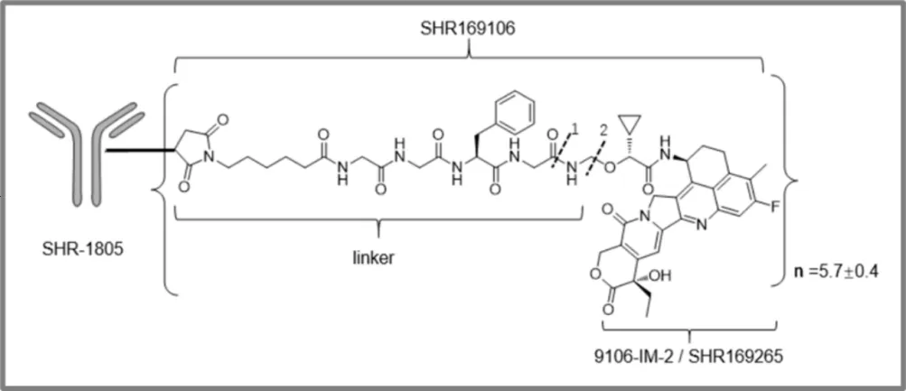 独领风骚：恒瑞医药ADC药物全梳理 - 知乎