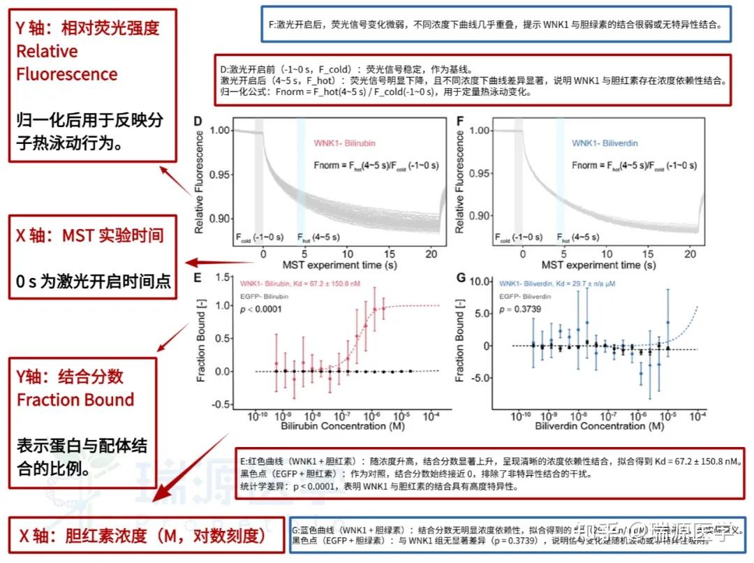SPR/BLI/MST/ITC一篇拿捏，手把手教你体外分子互作结果解读及实验选择！ - 知乎
