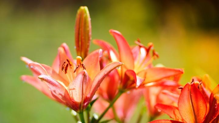 python的json.load()函数 - 知乎