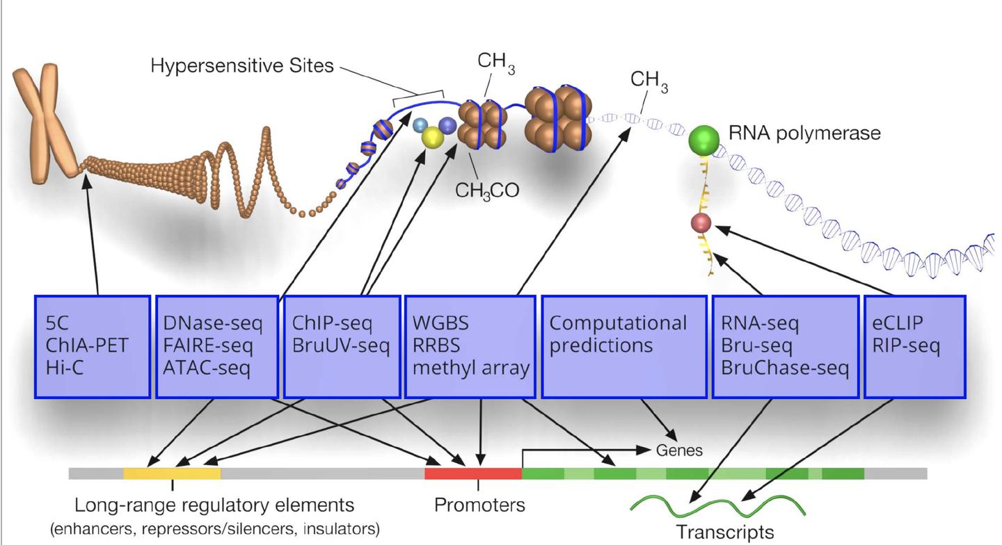 不用编程就能分析ChIP-seq数据 - 知乎