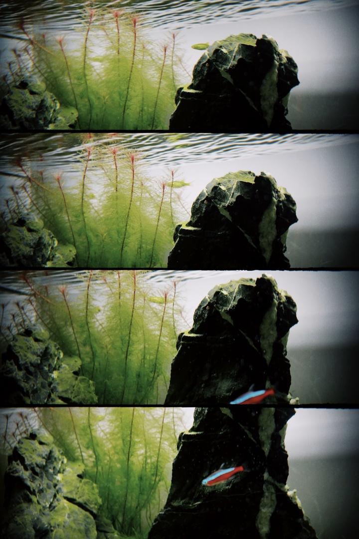 玩转 NOMO 相机 app，看这一篇文章就够了 - 知乎