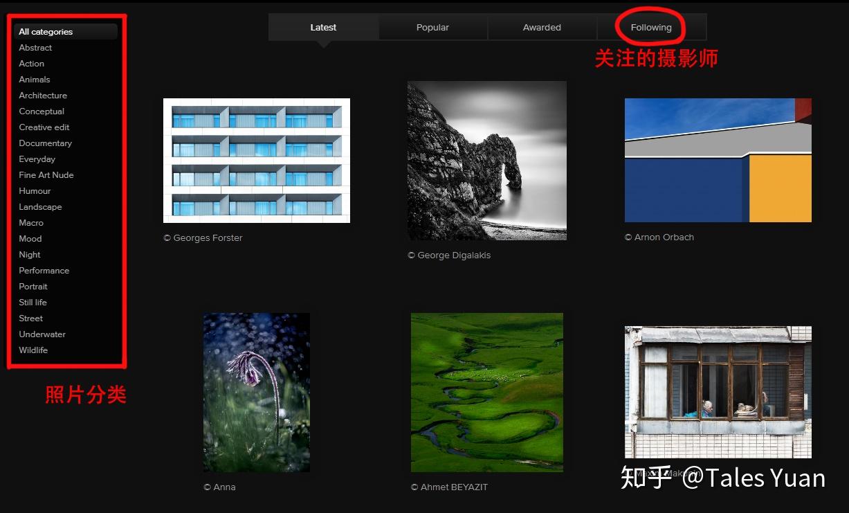 居然有如此宝藏的摄影网站？——可能是目前最全面的1x.com中文使用指南（文字版） - 知乎
