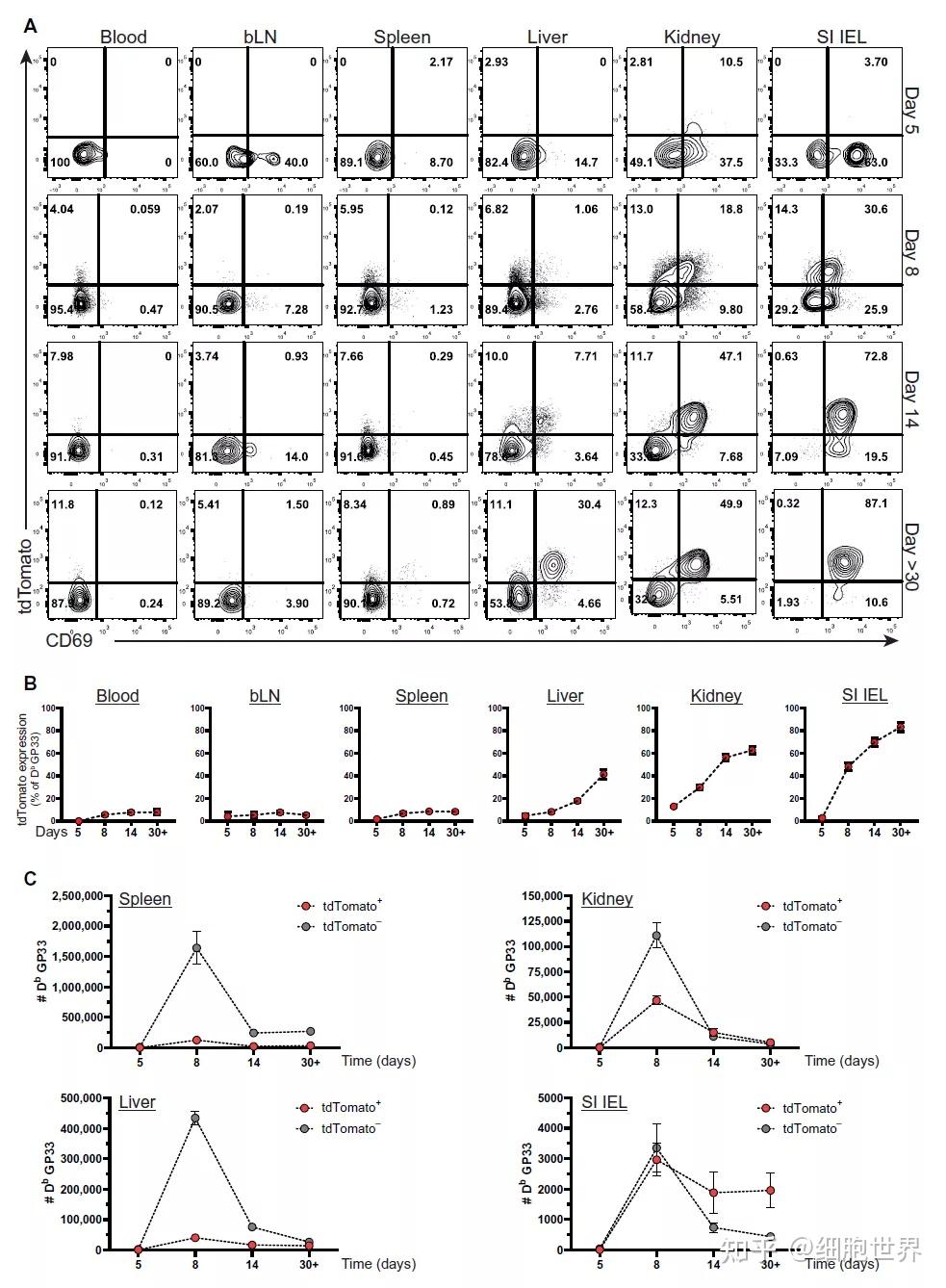 Sci Immun | 揭示T细胞谱系选择的关键转录因子 - 知乎