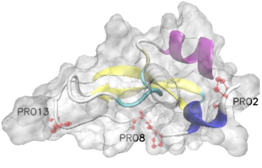 VMD可视化对接结果 - 知乎