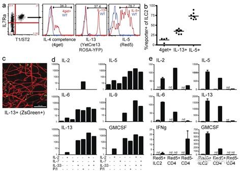 免疫与减肥（三）：ILC2与脂肪代谢（一） - 知乎