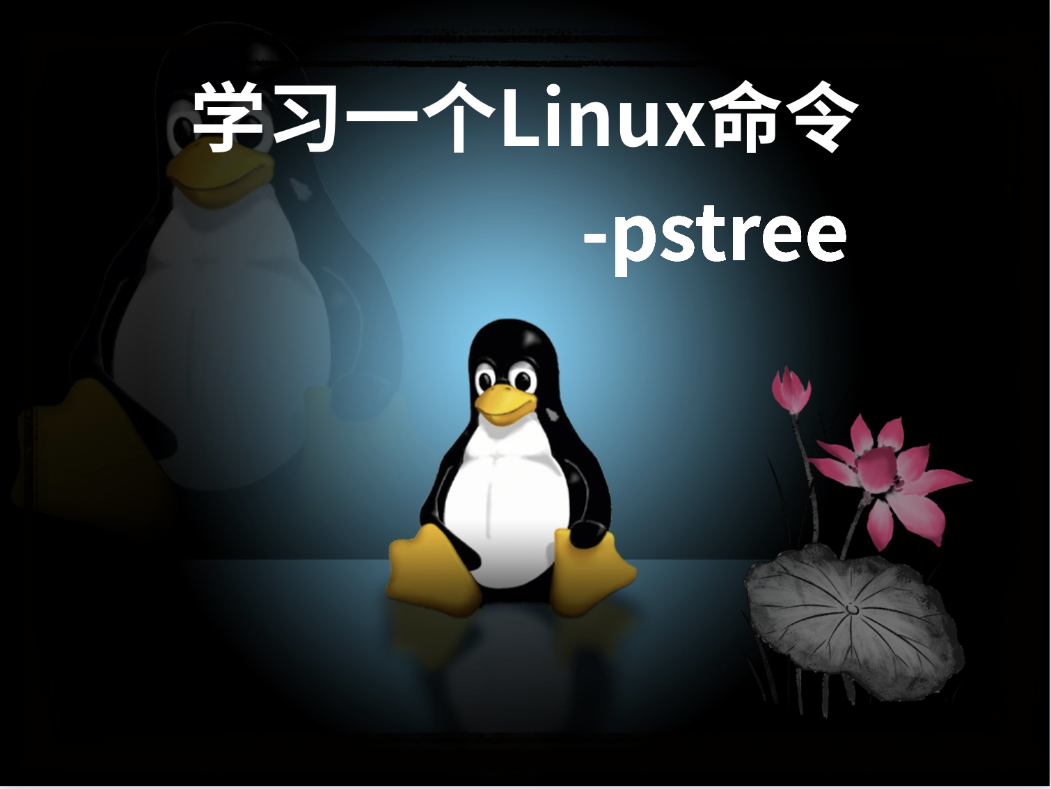 学习一个Linux命令-pstree - 知乎
