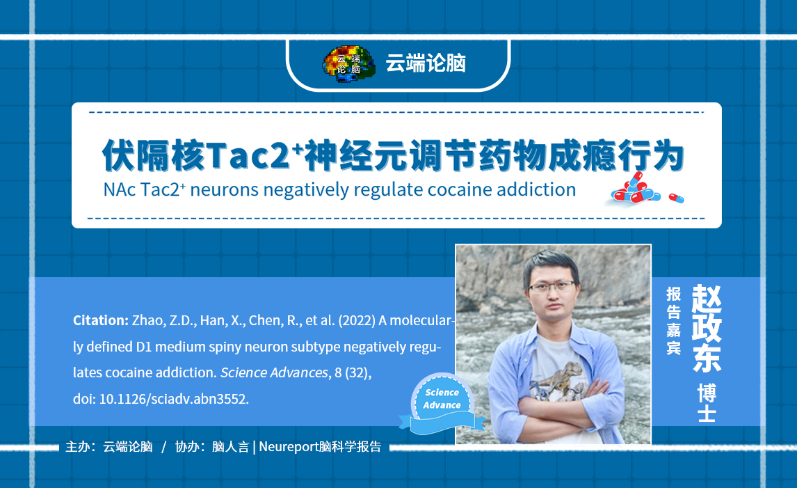 云端论脑 第56期｜伏隔核Tac2+神经元调节药物成瘾行为 NAc Tac2+ neurons negatively regulate ...