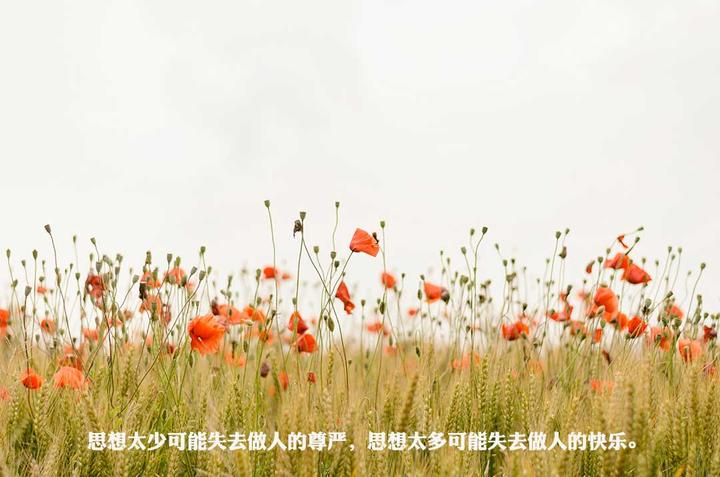无限经典的话,让你受用终生 知乎