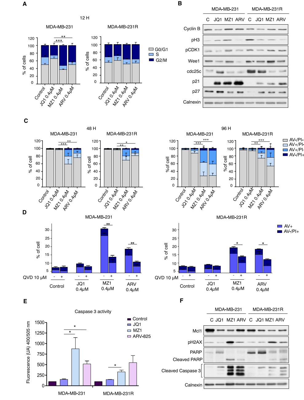 BET 蛋白水解靶向嵌合 (PROTAC) 化合物在三阴性乳腺癌中的活性 - 知乎