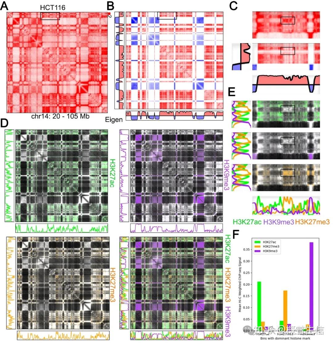 Hi-C数据的可视化工具汇总 - 知乎