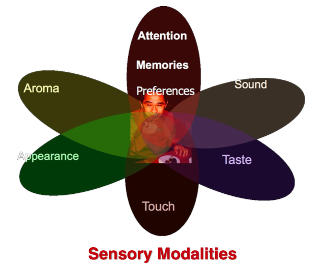 多模态学习综述(MultiModal Learning) - 知乎