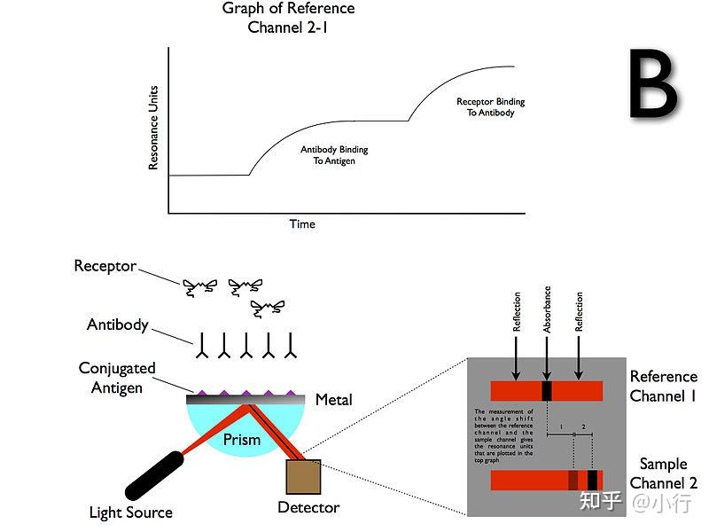 什么是 SPR检测技术？ - 知乎