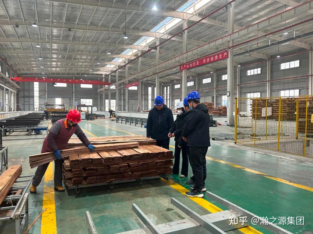 聚力创新，健康邳州---邳州电视台走进横禧木专题采访报道 - 知乎