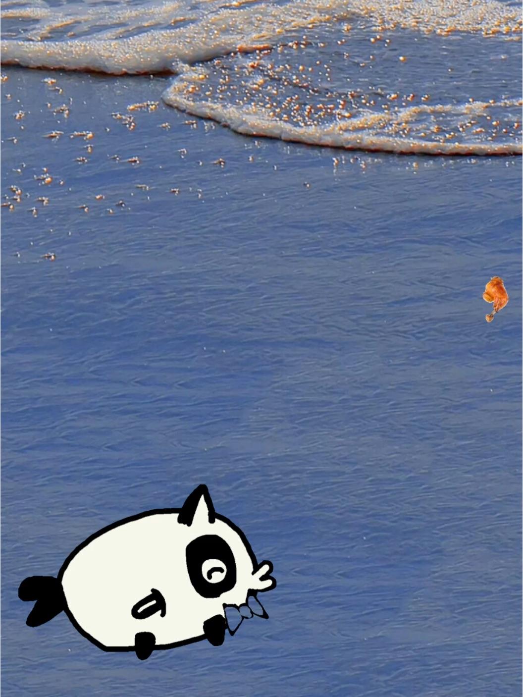 漂亮表弟 知乎