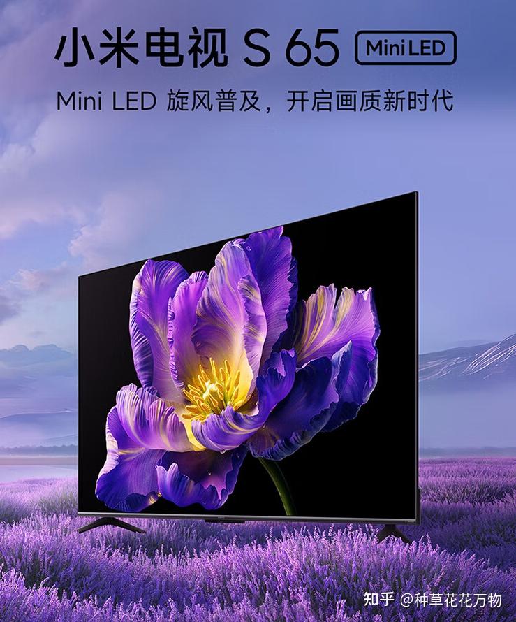 2024年65英寸电视选购指南！高性价比家用65寸智能电视推荐！这十款电视品牌口碑好，公认值得买！