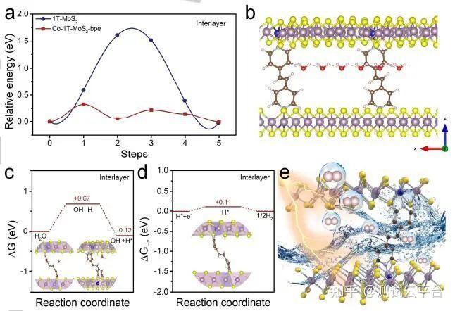 董斌团队Angew：Co-1T-MoS2-bpe碱性介质中电催化HER - 知乎
