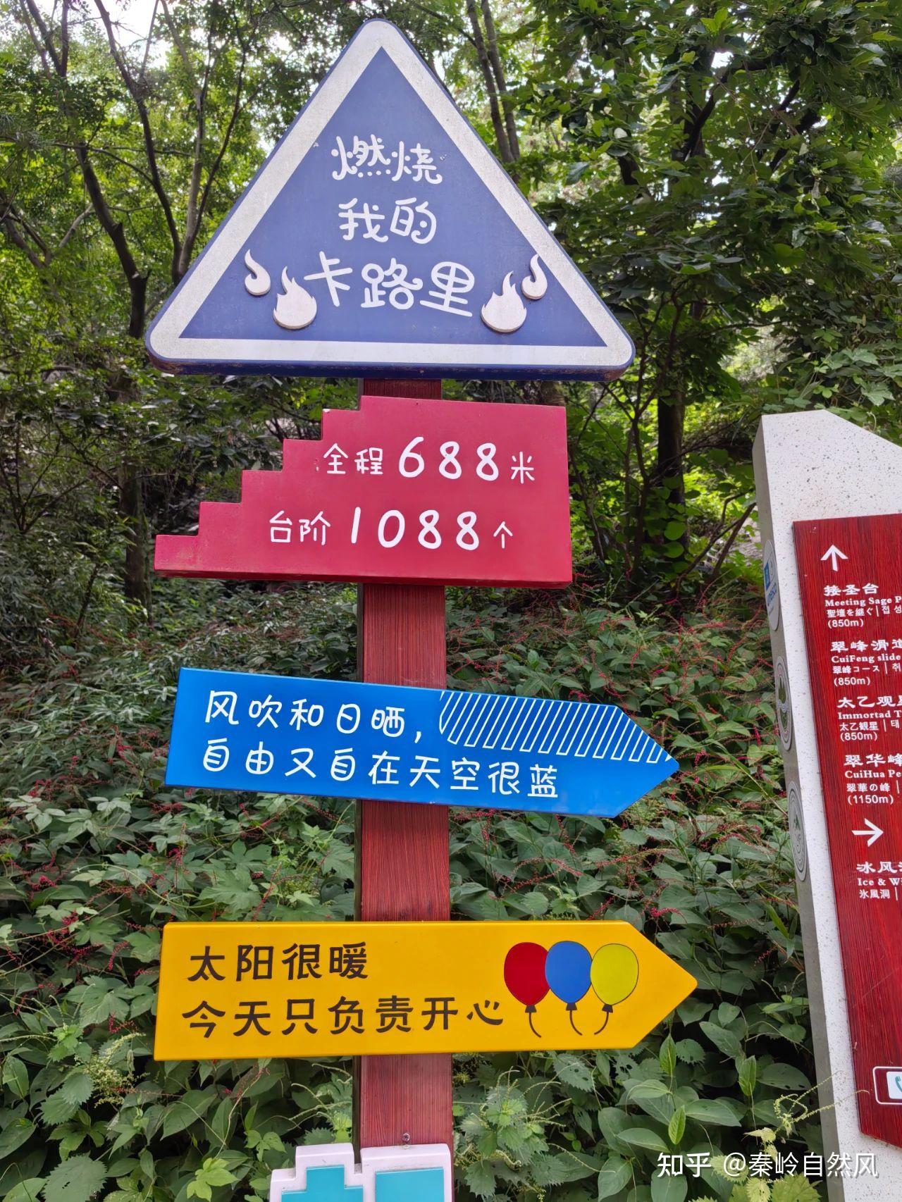 翠华山，离西安市最近的夏日避暑胜地，并可自驾进入森林公园深处 - 知乎