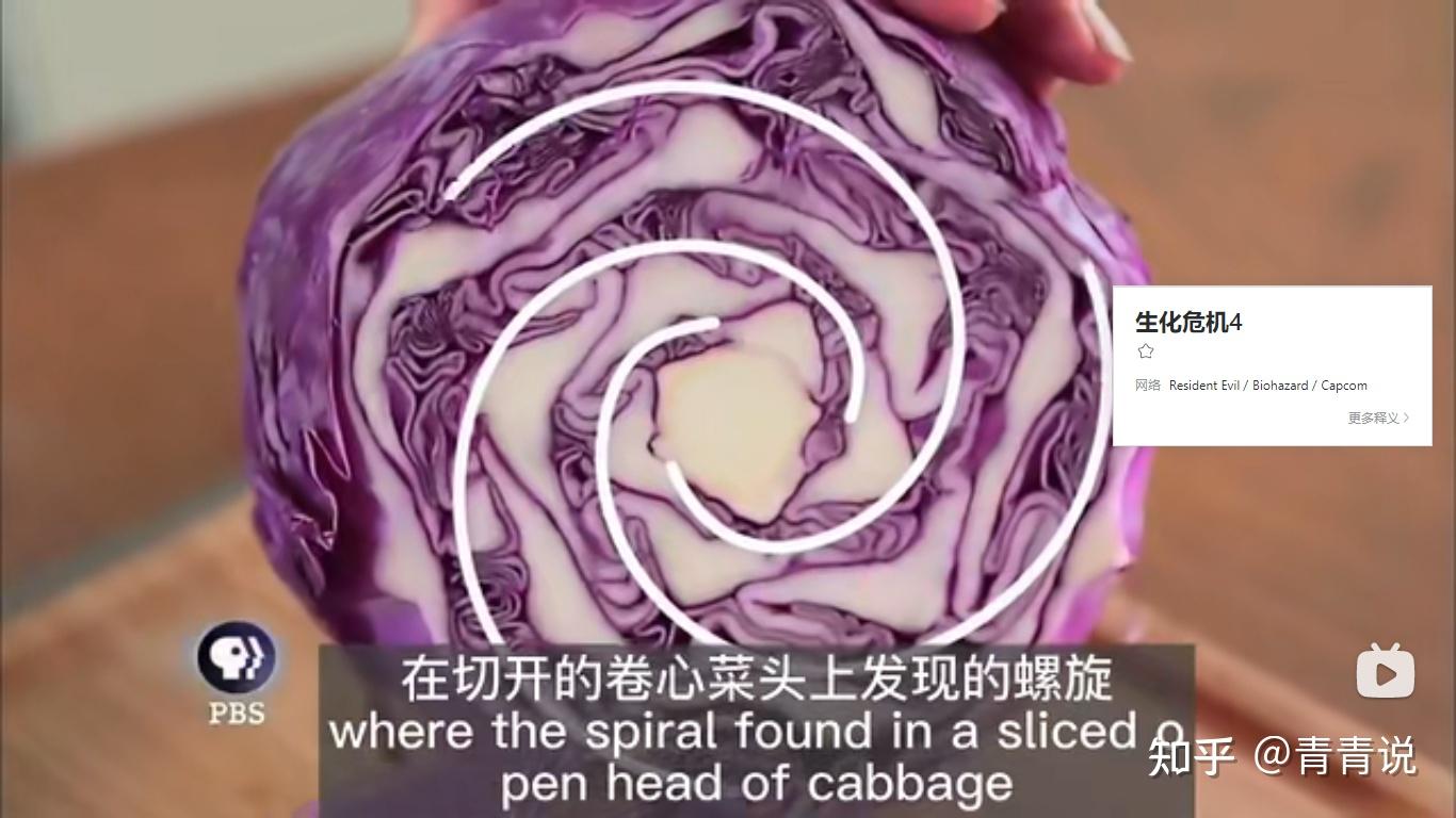 那些让人看完心明眼亮视野开阔的纪录片——推荐19：《数学，科学的女王》（《Mathematics, Queen of the Sciences ...