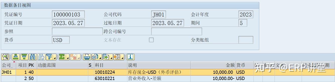 SAP外币评估和GIIR重分类详解 - 知乎