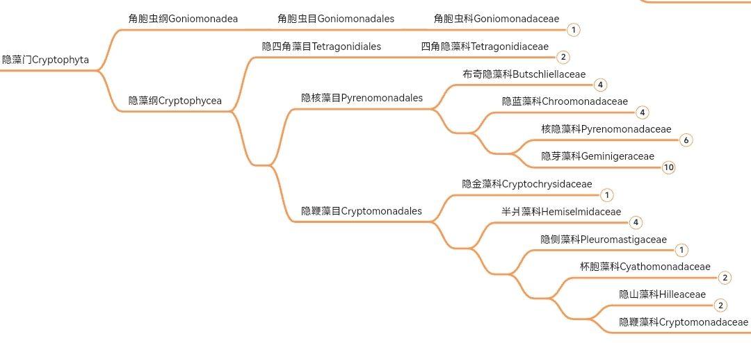 【古菌域全系列14】隐藻界Cryptista：隐于世间而影响世界 - 知乎