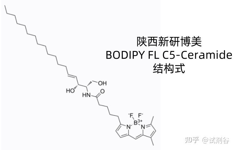 BDP FL C5-Ceramide，133867-53-5的特性与应用 - 知乎