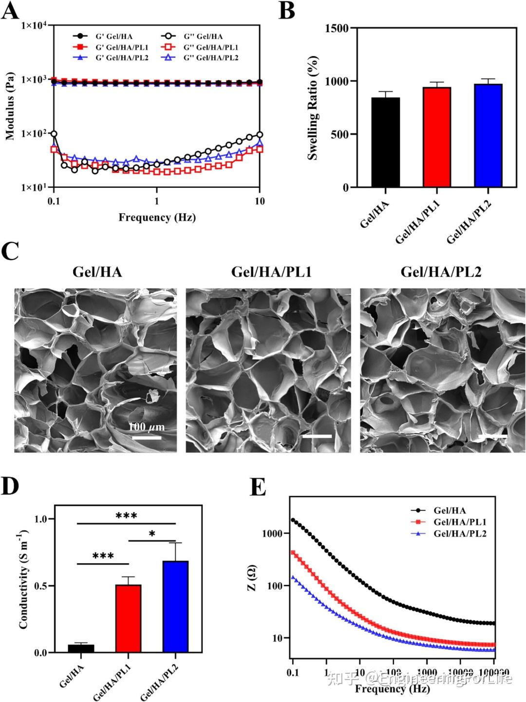 《Chem. Eng. J.》：3D打印导电脊髓仿生支架--促进神经干细胞神经元分化和脊髓修复 - 知乎