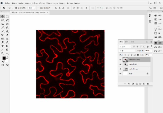 PS快速处理merge图片详细教程！！ - 知乎