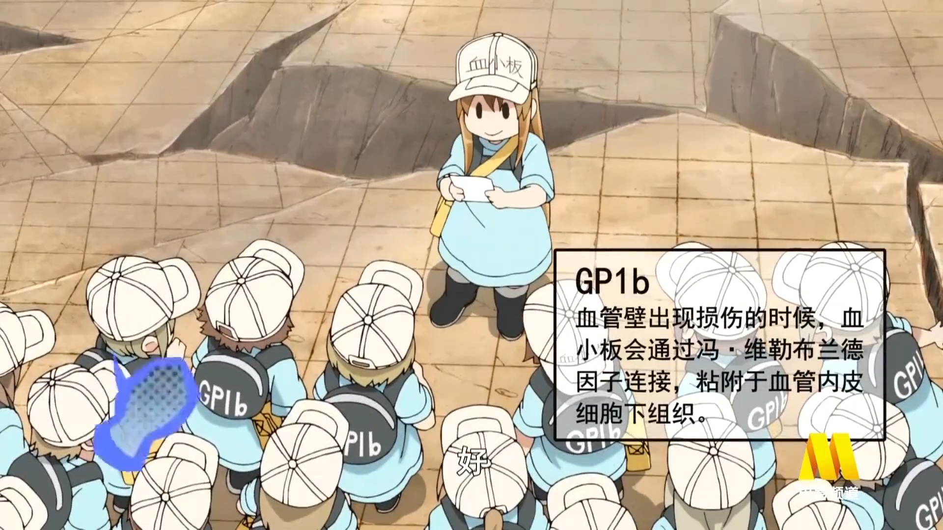 《工作细胞》中血小板拿的GP1B究竟是什么东西？有什么作用？ - 知乎