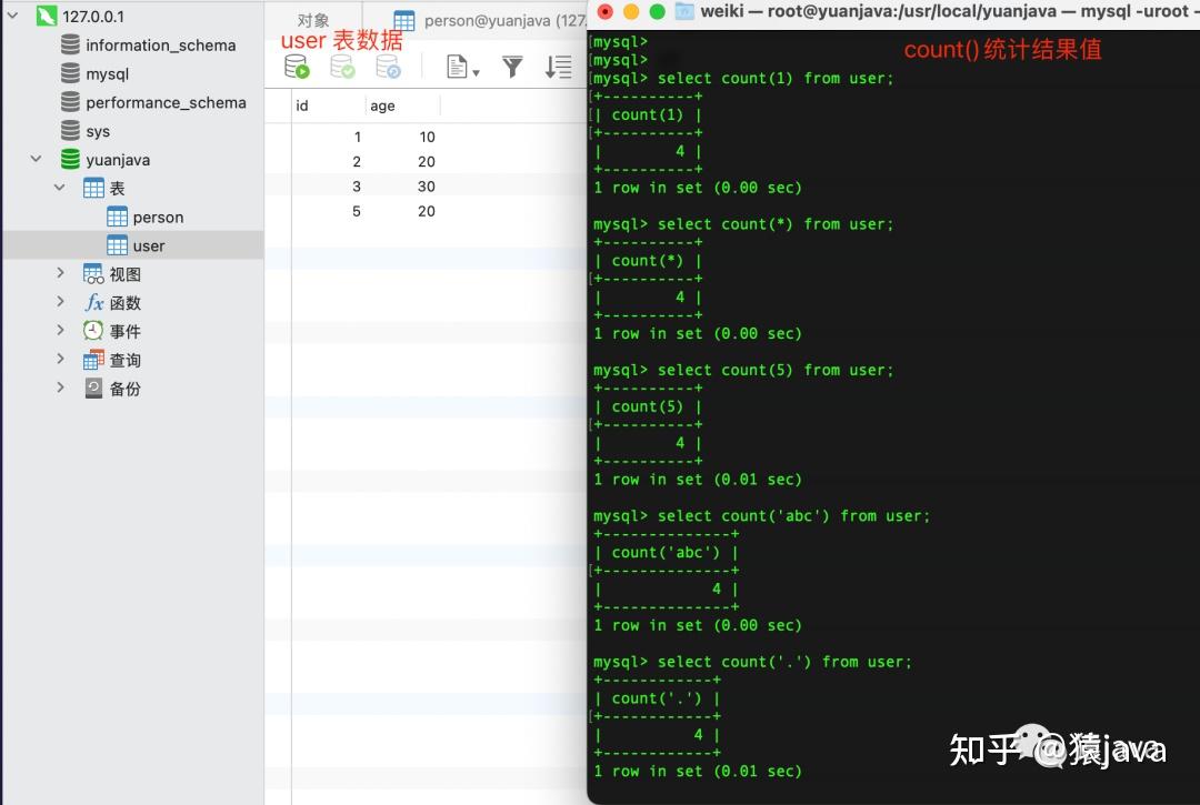 深度剖析：MySQL count() 函数，这下彻底明白了！ - 知乎