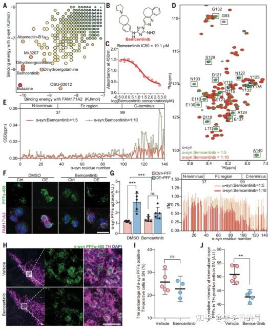 神经元FAM171A2介导α-突触核蛋白纤维摄取并驱动帕金森病 - 知乎