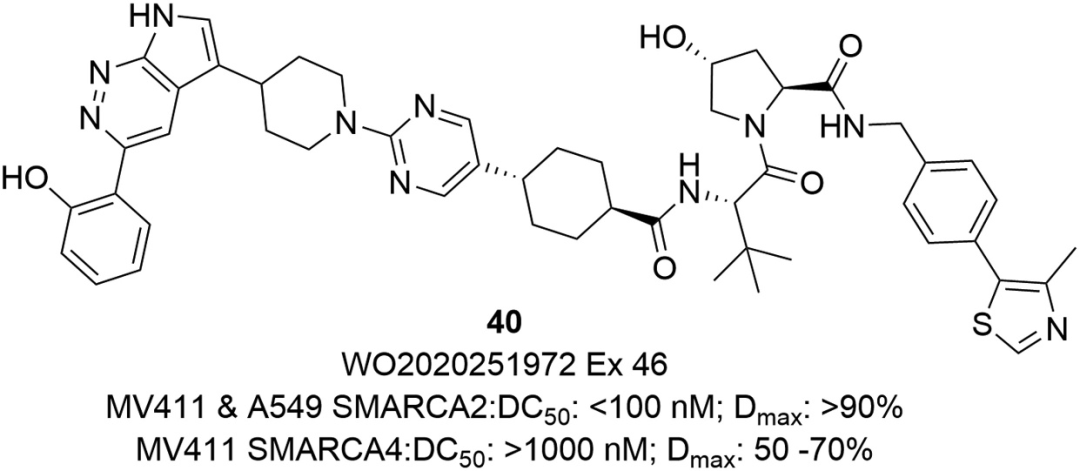合成致死靶点SMARCA2: PROTAC蛋白降解剂 (专利综述) - 知乎