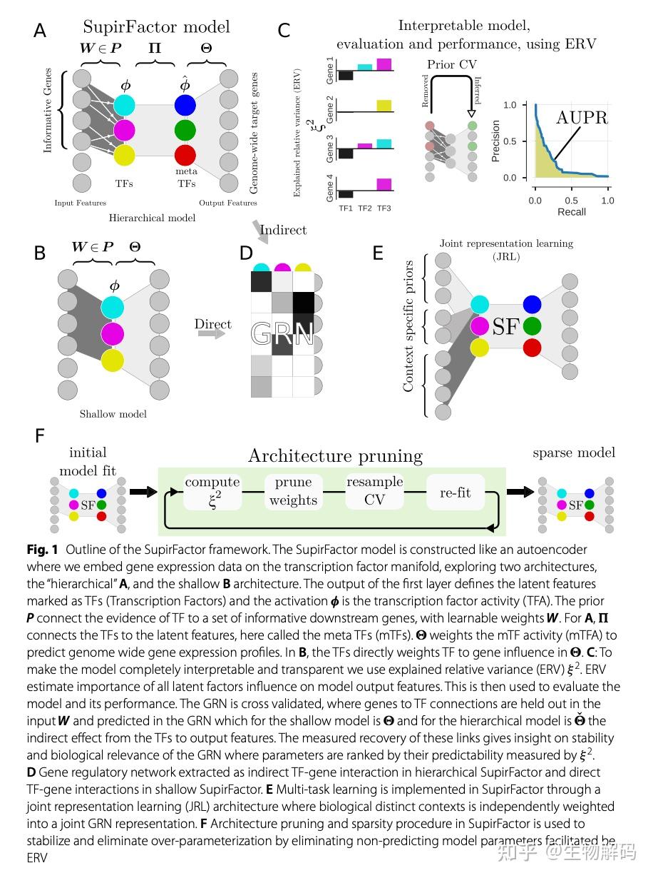 每日文摘 | 2024年02月09日 - 知乎