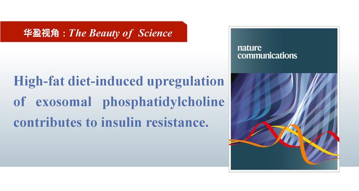 Nature Commun：外泌体脂质与胰岛素抵抗机制研究 - 知乎