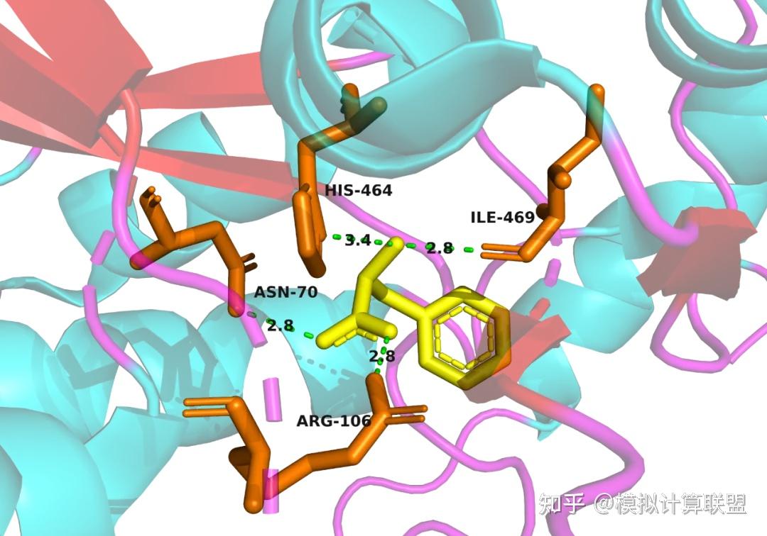 pymol怎么下载？ - 知乎