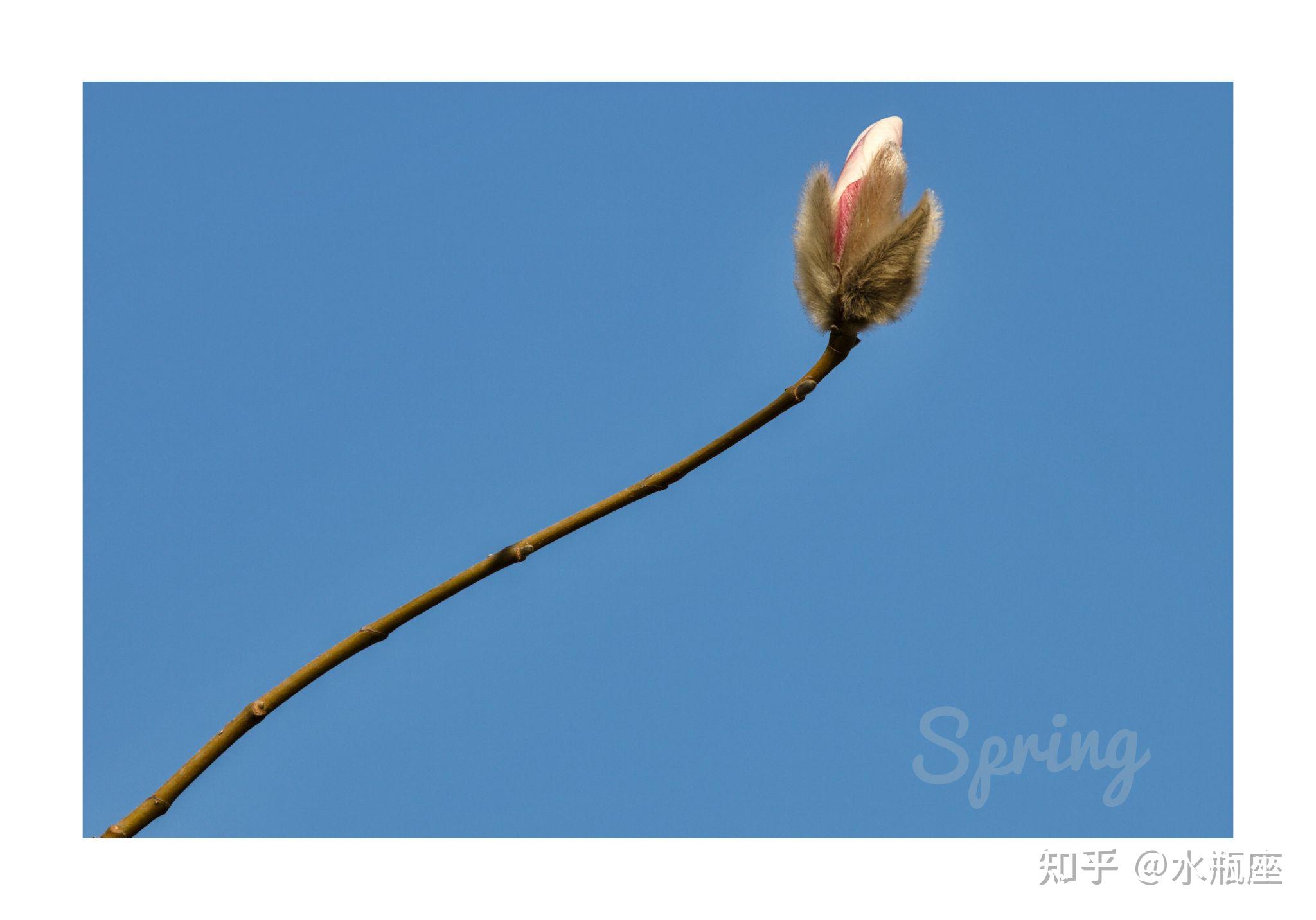 现在买佳能5d2怎么样? - 知乎