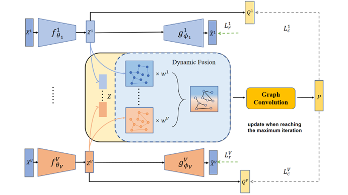 Deep Multi-View Subspace Clustering with Anchor Graph（ 基于锚点图的深度多视图子空间聚类 ...