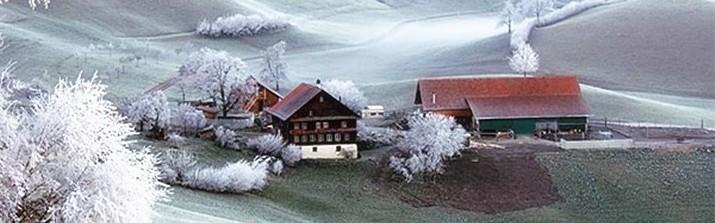 英语语法（59）not so much …… as …… - 知乎