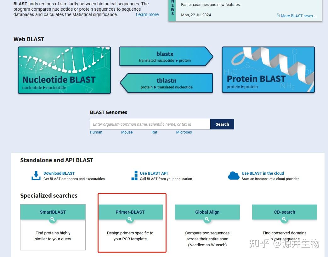 干货 | NCBI引物设计 - 知乎