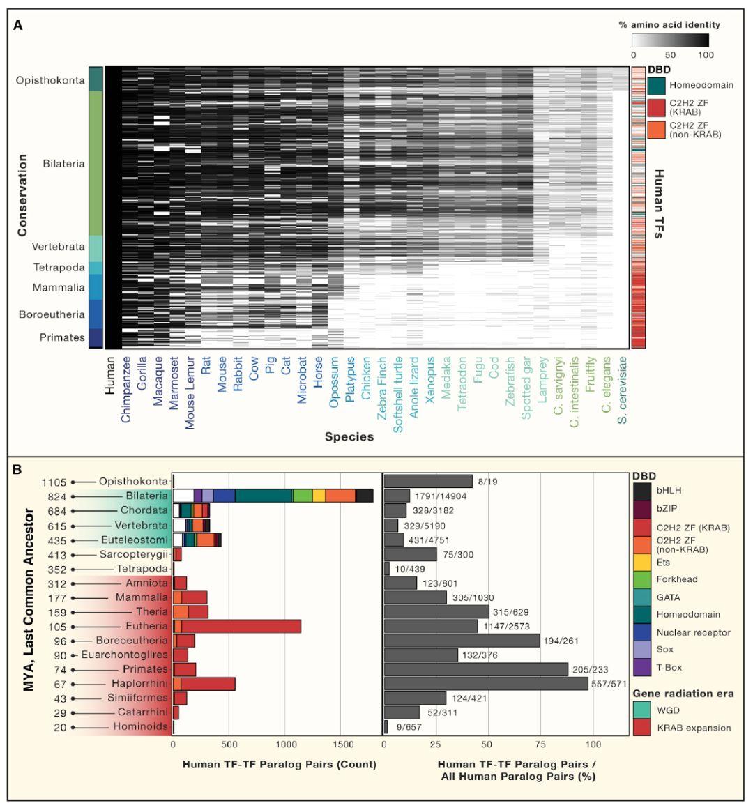 Cell重磅综述：关于人类转录因子，你想知道的都在这 - 知乎