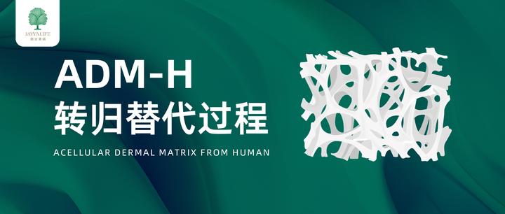 一图看懂 | ADM-H转归替代过程 - 知乎