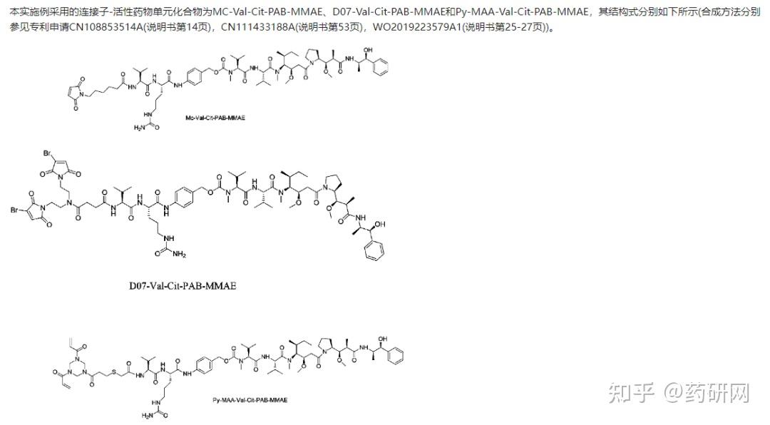荣昌生物Hibody双抗平台及ADC专利 - 知乎