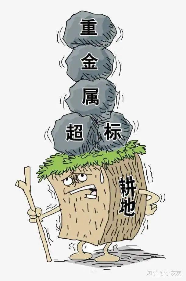 重金属污染对环境和人体有哪些危害？ - 知乎