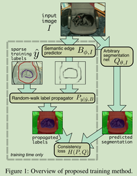 Learning random-walk label propagation for weakly-supervised semantic segmentation - 知乎