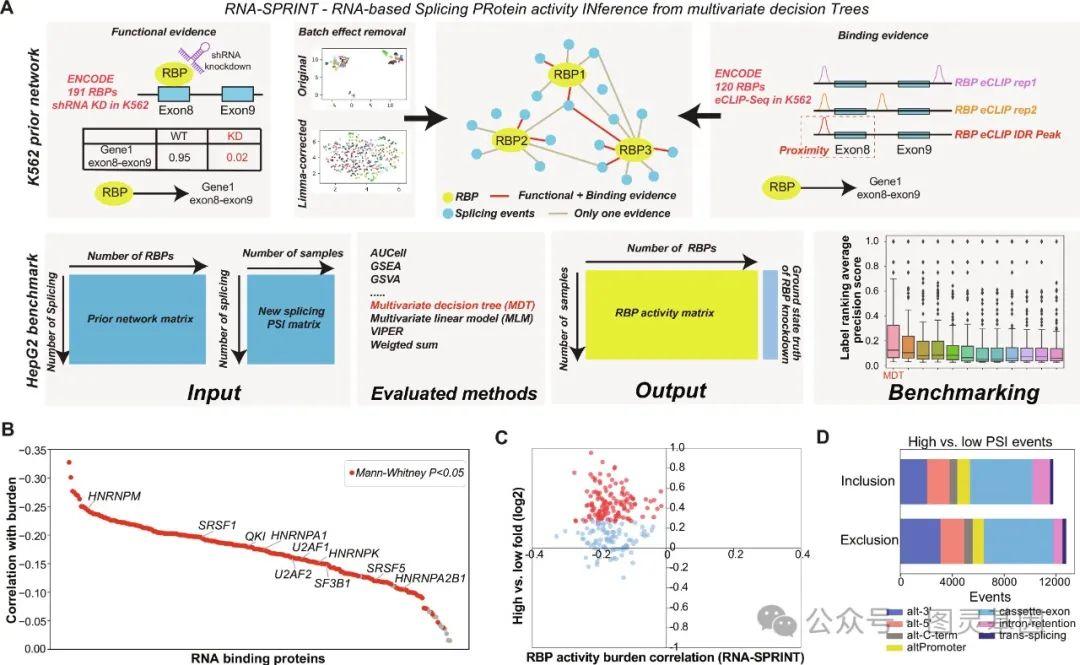 Sci Tra Med | SNAF识别用于免疫治疗的剪接新抗原靶点 - 知乎